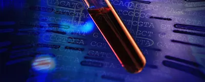 A Novel Polymerase Reduces Stutter in Forensic DNA Analysis | The Scientist