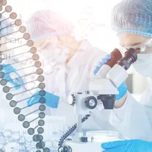 Protein Engineering | The Scientist