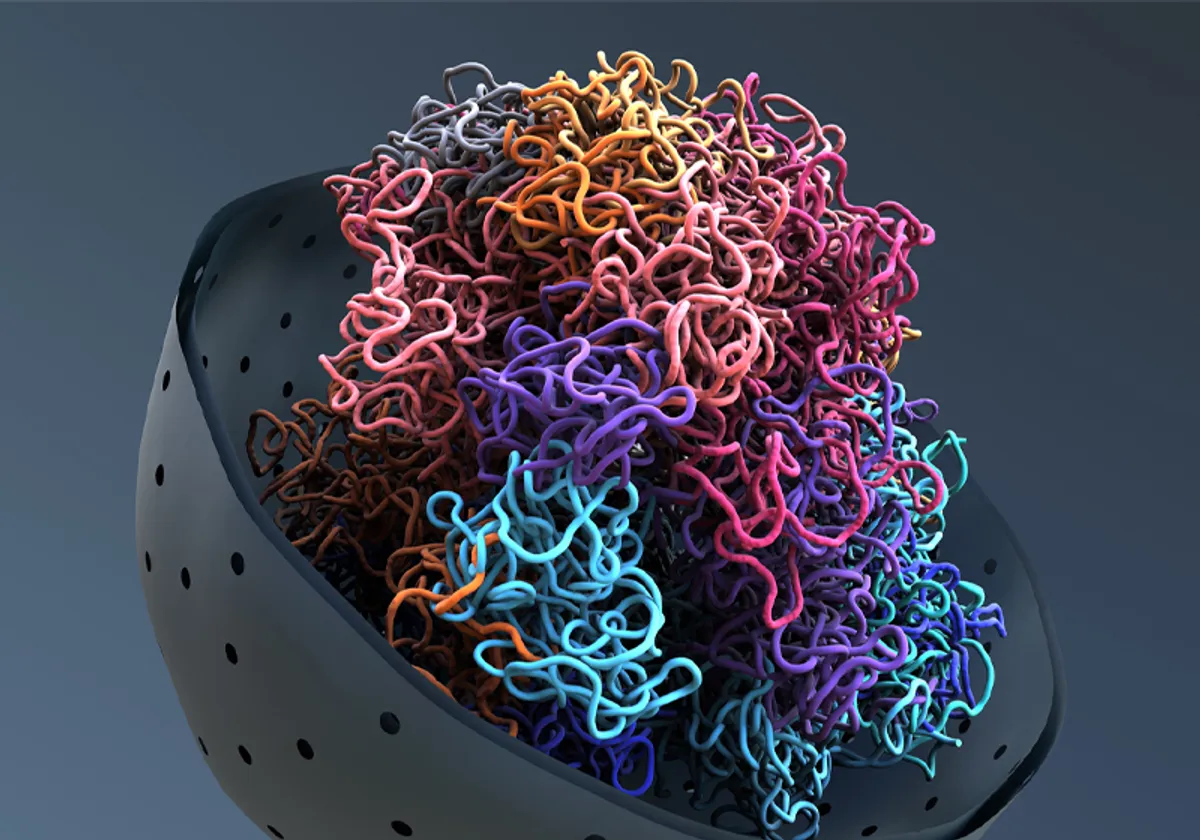 Chromatin Structure | The Scientist