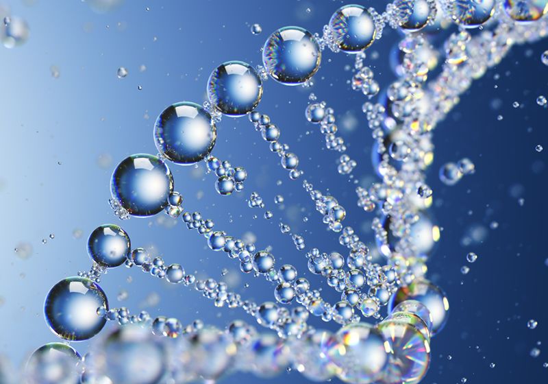 Understanding the Nuts and Bolts of qPCR Assay Controls | The Scientist