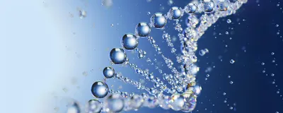 Understanding the Nuts and Bolts of qPCR Assay Controls | The Scientist
