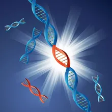 Article | The Scientist