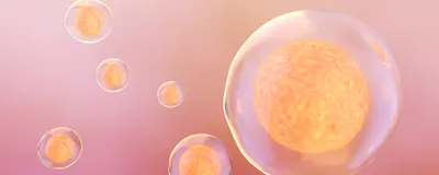 Capturing Complexity Cell by Cell | The Scientist