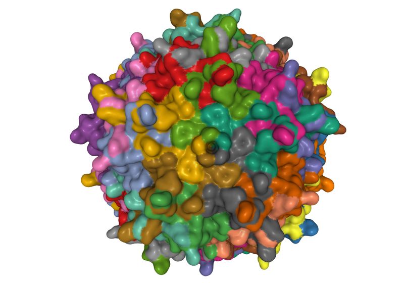 A Deep Dive into Viral Vectors for Gene Therapy | The Scientist