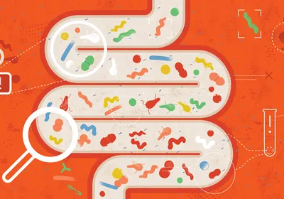 A Microbe from Poo Suppresses Bacterial Infection | The Scientist