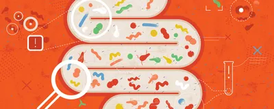 An Antibiotic That Distinguishes Friend from Foe | The Scientist