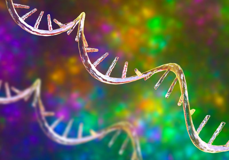 Elevate Single-Cell RNA Sequencing with Advanced Multiplexing | The ...