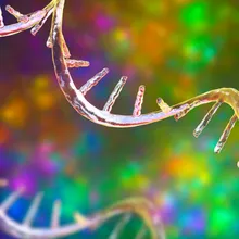 Article | The Scientist