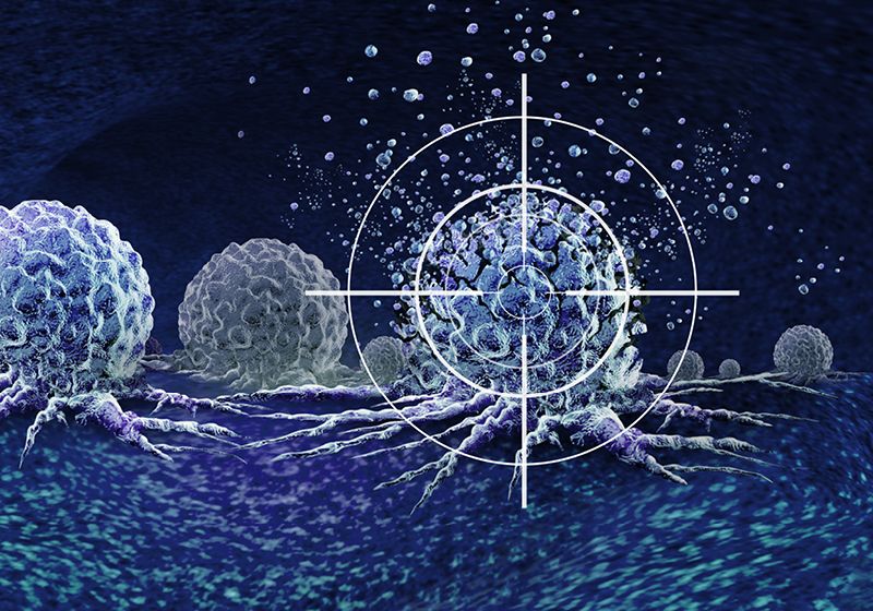 Molecular-Level Dissection of the Tumor Microenvironment | The Scientist