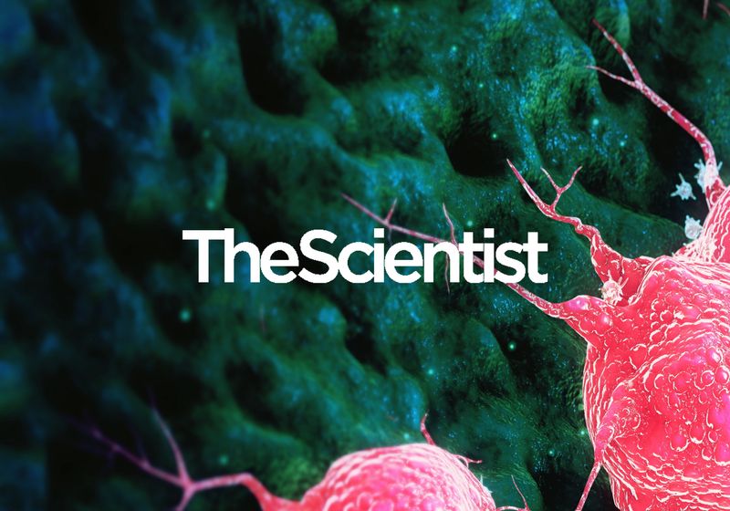 New Approaches for Decoding Cancer at the Single-Cell Level | The Scientist