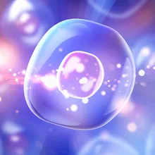 Innovation Spotlight | The Scientist