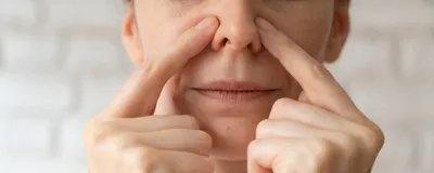 The Discovery of a Fat-Filled Cell Reveals Why Noses Are Springy | The ...
