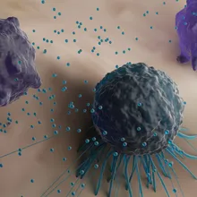 News | The Scientist