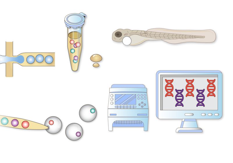 DNA Droplets in Motion Accelerate Gene Discovery | The Scientist