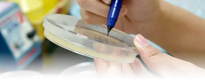 The Mystery of the Disappearing Labels | The Scientist