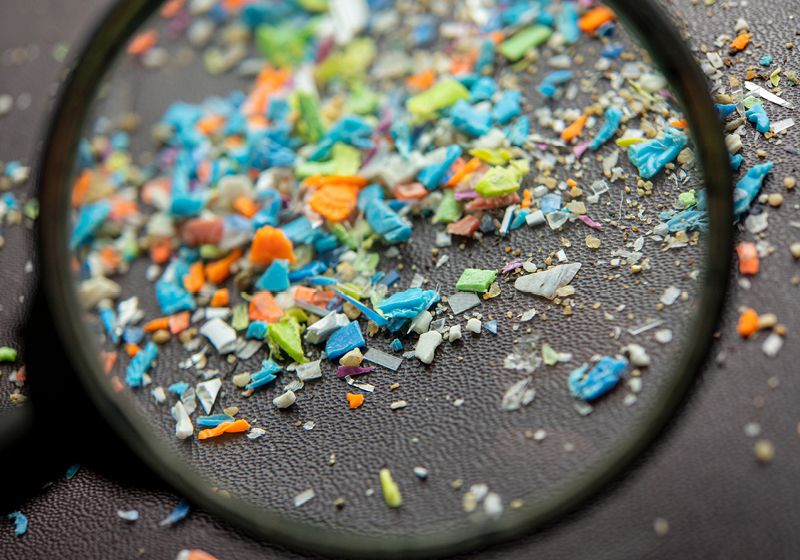 Microplastics Build Up in Human Organs, Especially the Brain | The ...