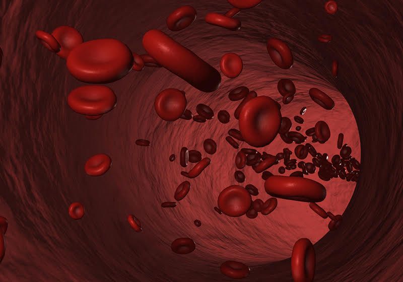 What Makes Malaria-Infected Cells Stick? | The Scientist