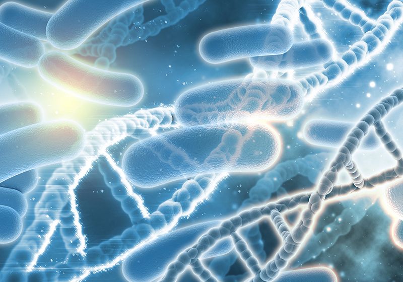 Exploring the World of Bacterial Genomes with Novel Sequencing Methods ...