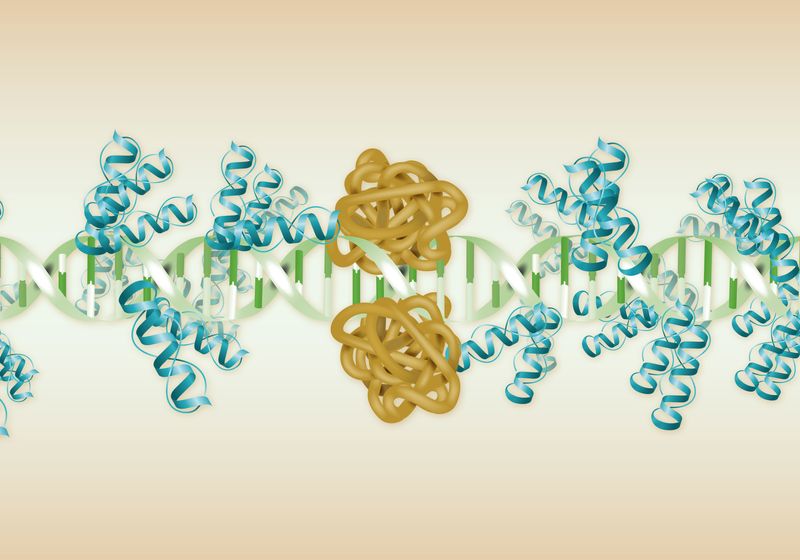 A Tale of How TALENs Launched the Genome Editing Revolution | The Scientist