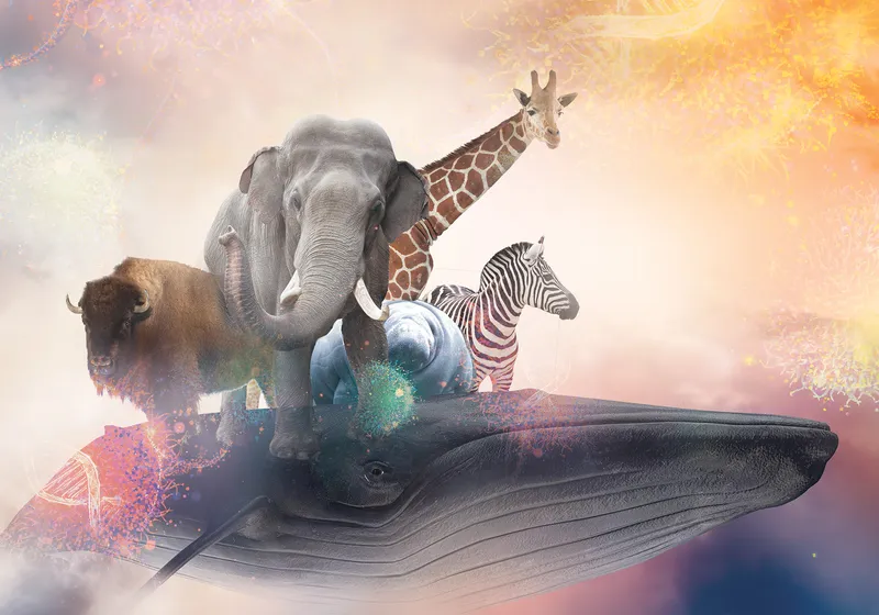 Feature | The Scientist