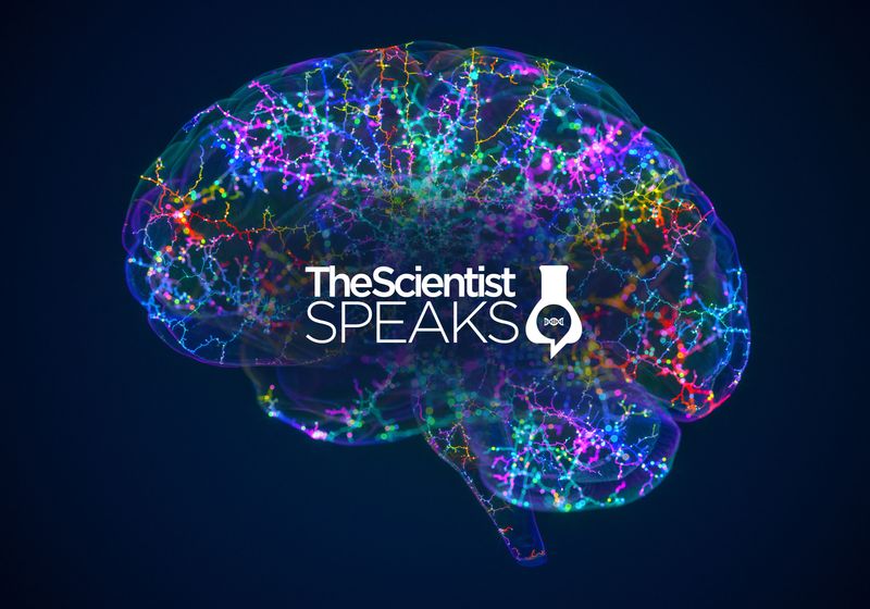 From Development to Regeneration: The Power of Bioelectricity | The ...
