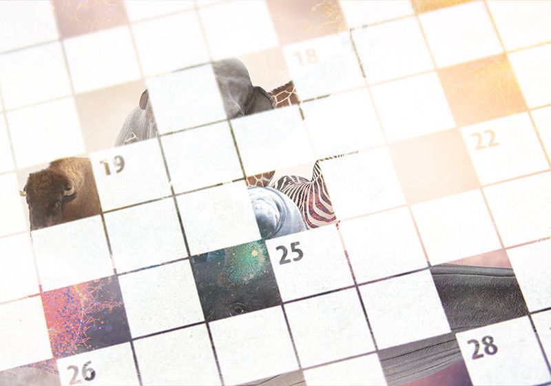 March 2025 Interactive Crossword Puzzle | The Scientist