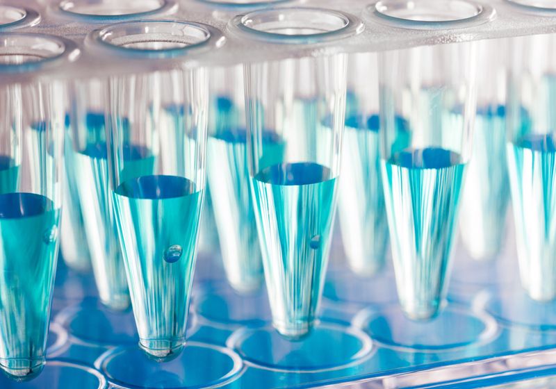 Become a PCR Pro | The Scientist