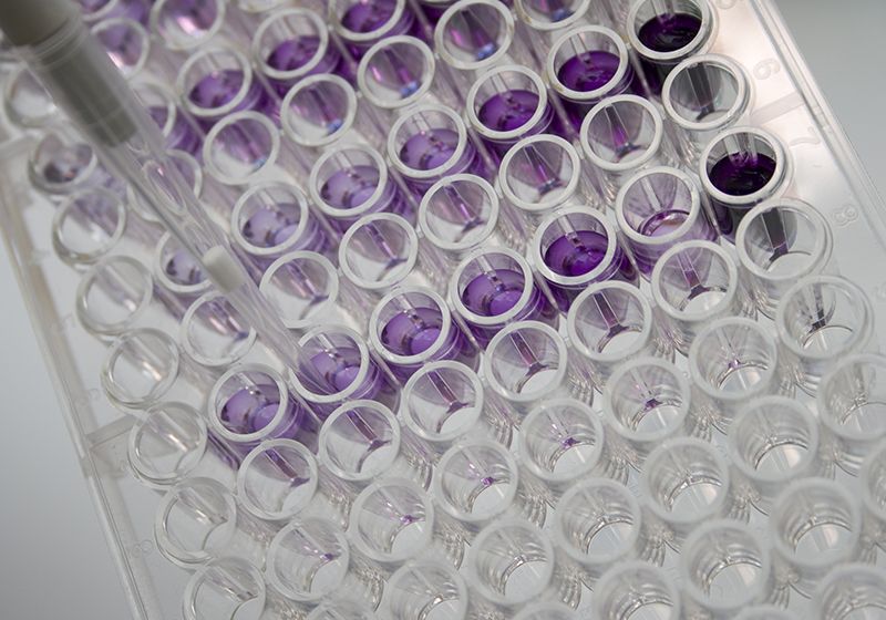 Setting Up Microplate Readers for Optimal Data | The Scientist