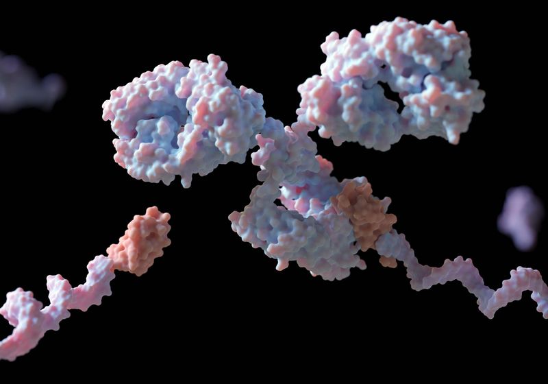 Improving Protein Biomarker Development | The Scientist