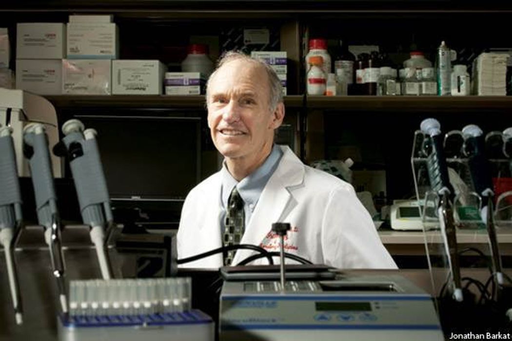 Study Confirms Safety of Genetically Modified T Cells | The Scientist