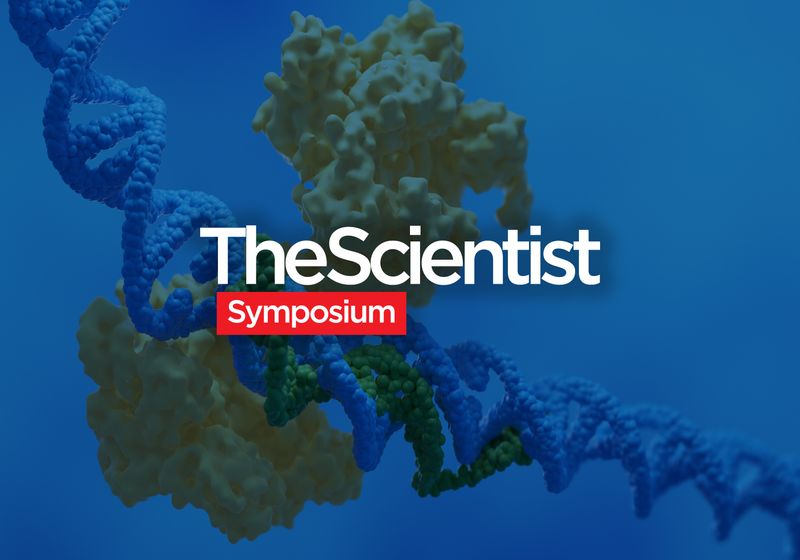 The Future of CRISPR | The Scientist
