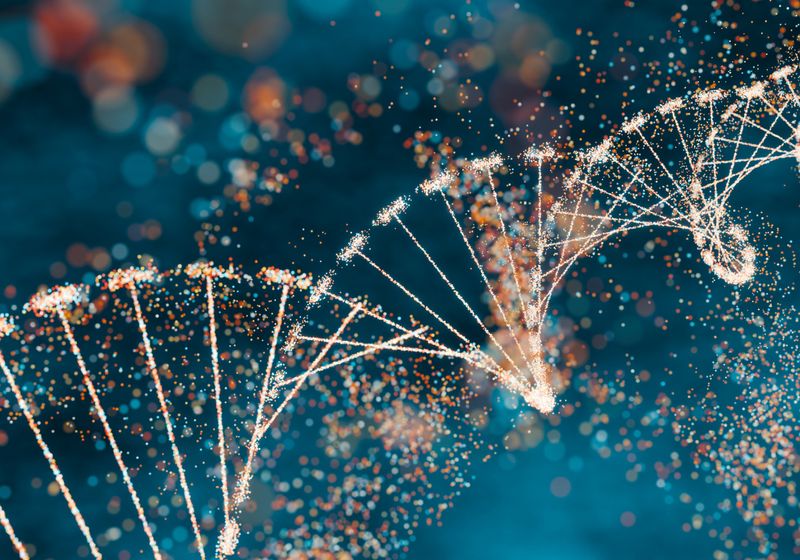 Towards Virtual Tissue Models | The Scientist