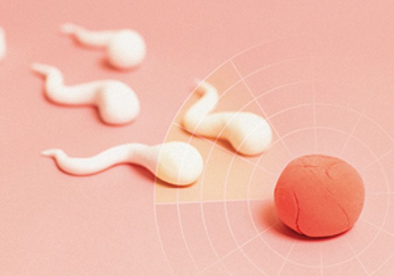 How Cryptic Female Choice Shapes the Evolution of Species | The Scientist