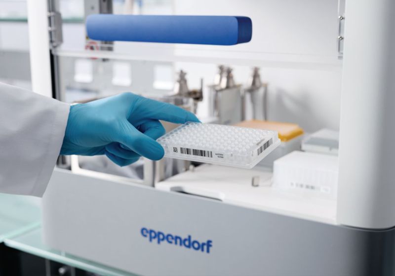 Preventing Leachable Plastic from Disrupting Bioassays | The Scientist