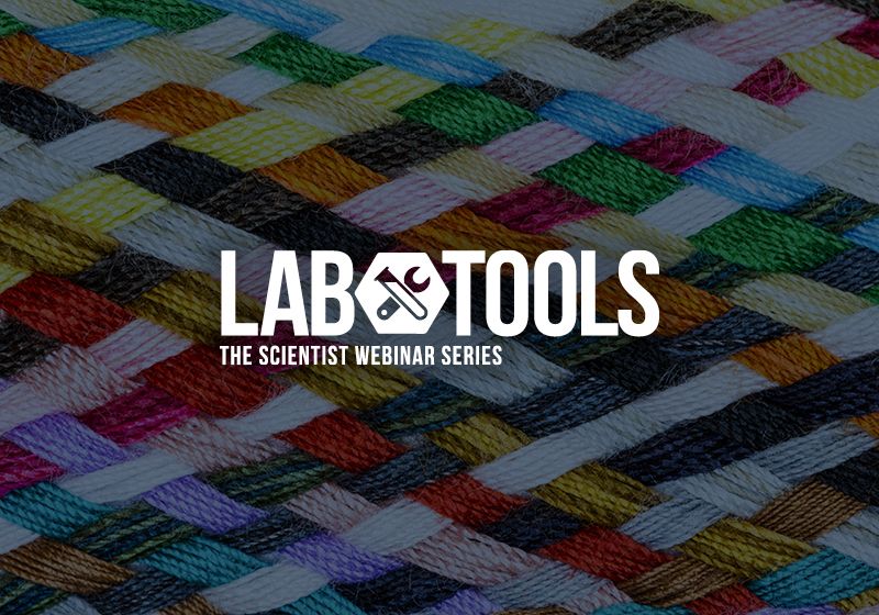 Unraveling Complex Biology with Five-Dimensional Multiomics | The Scientist