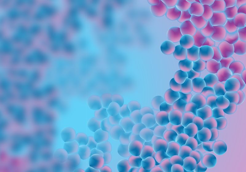 Taking Control of Cellular Contamination with PCR Testing | The Scientist