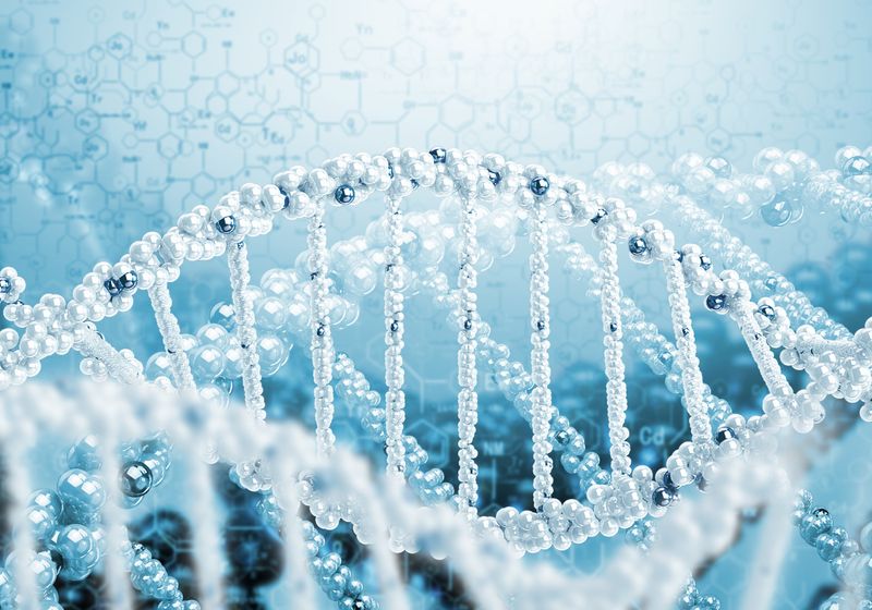 Infographic | The Scientist