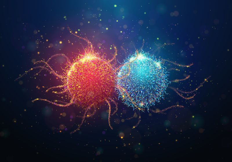 Optimizing Tumor-Infiltrating Lymphocyte Manufacturing | The Scientist