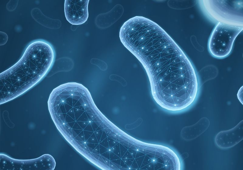 Improving Bacterial Strain Construction with Automation | The Scientist