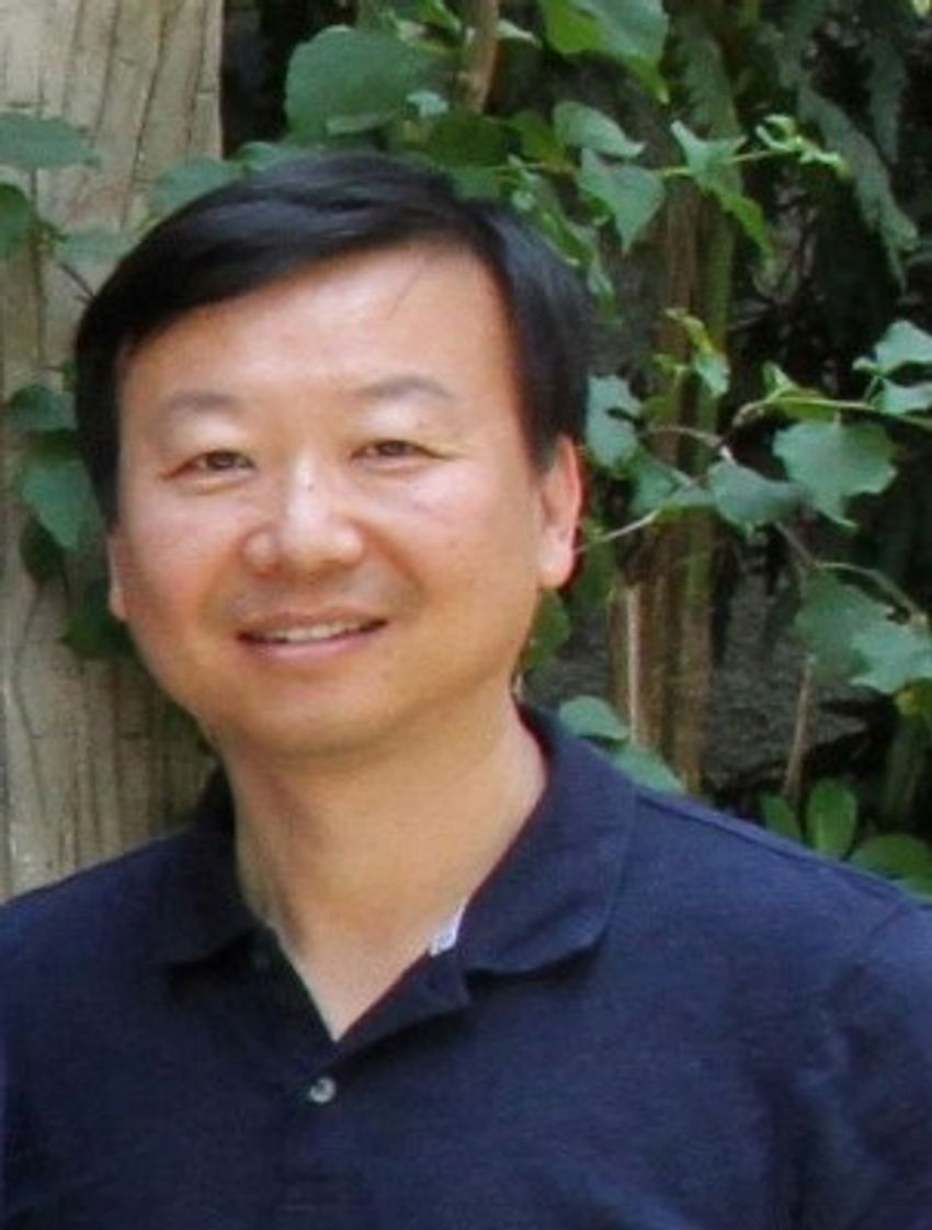 How Do Plants Know It’s Getting Hot? | The Scientist