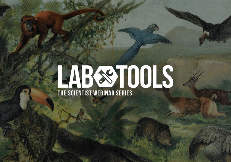 Restoring Nature with NGS: The Role of Automation in Conservation ...
