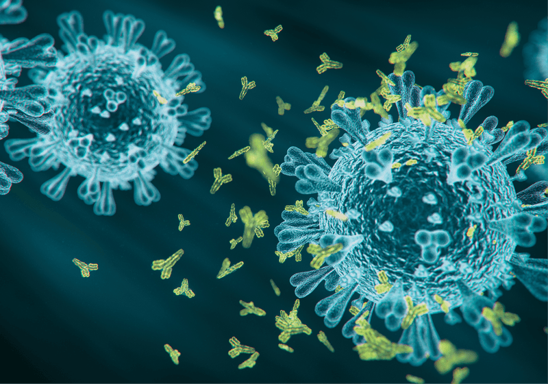 A Broadly Protective HIV Vaccine Shows Promising Results in Monkeys ...