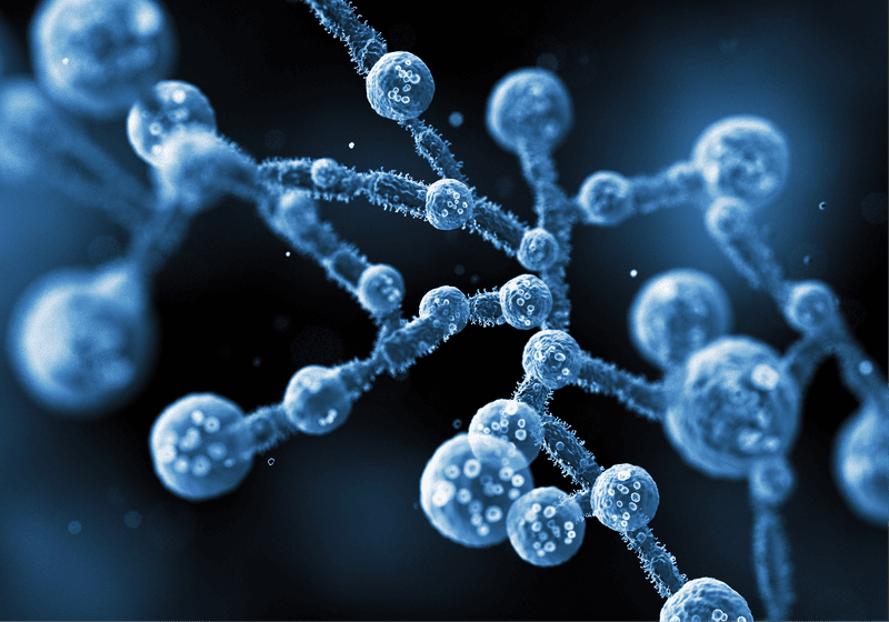 Atomic Fingerprint Analysis Reveals Cancer Cells | The Scientist