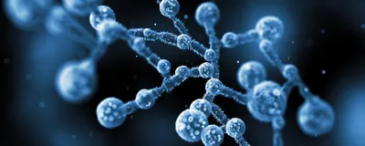 Atomic Fingerprint Analysis Reveals Cancer Cells | The Scientist