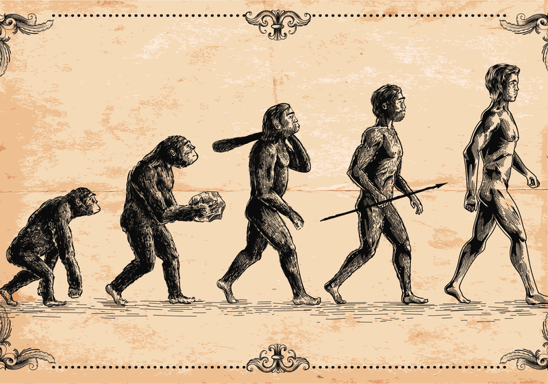 Two Changes in Bone Development Allowed Humans to Stand on Two Legs ...