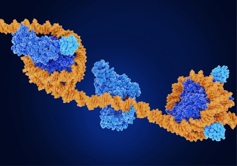 Unraveling Epigenetics: Twin Studies, Brain Scans, and Genome Editing ...