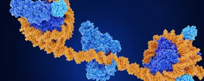 Unraveling Epigenetics: Twin Studies, Brain Scans, and Genome Editing ...