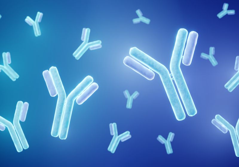 Understanding Immunoglobulin Isotypes | The Scientist