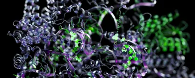 Low-Complexity Domains of Proteins Work Honored with Lasker Award | The ...