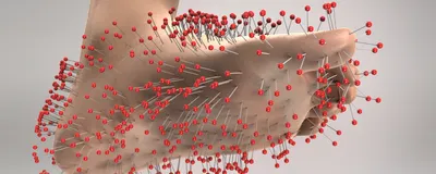 What Causes the Pins and Needles Sensation? | The Scientist